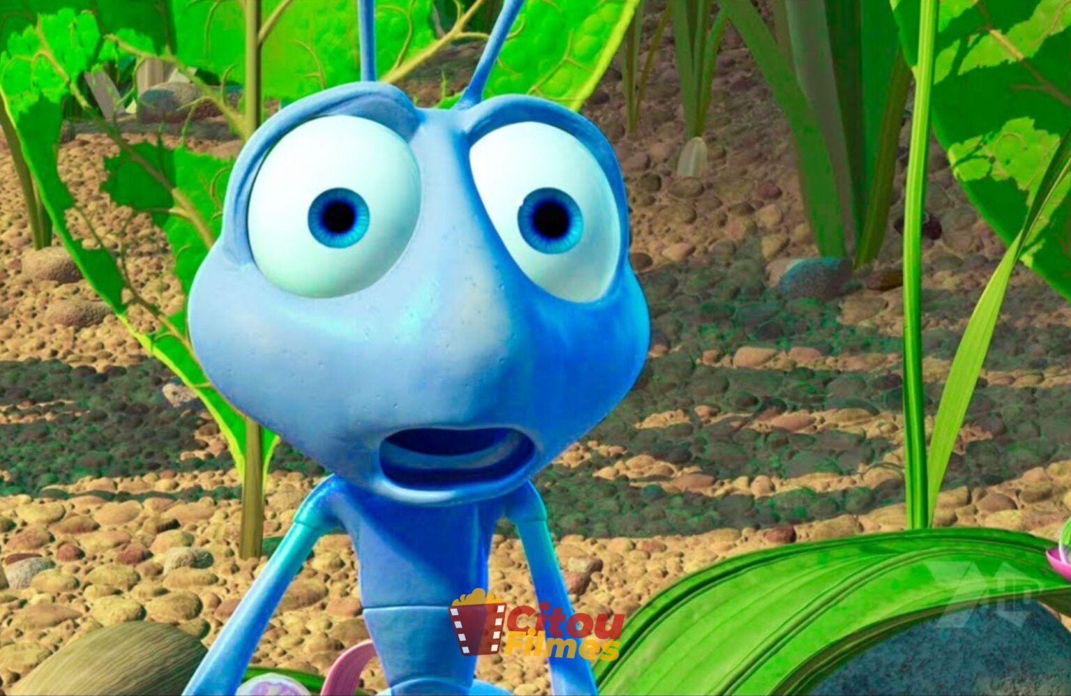 Vida de Inseto: descubra os detalhes do clássico da Disney/Pixar ...