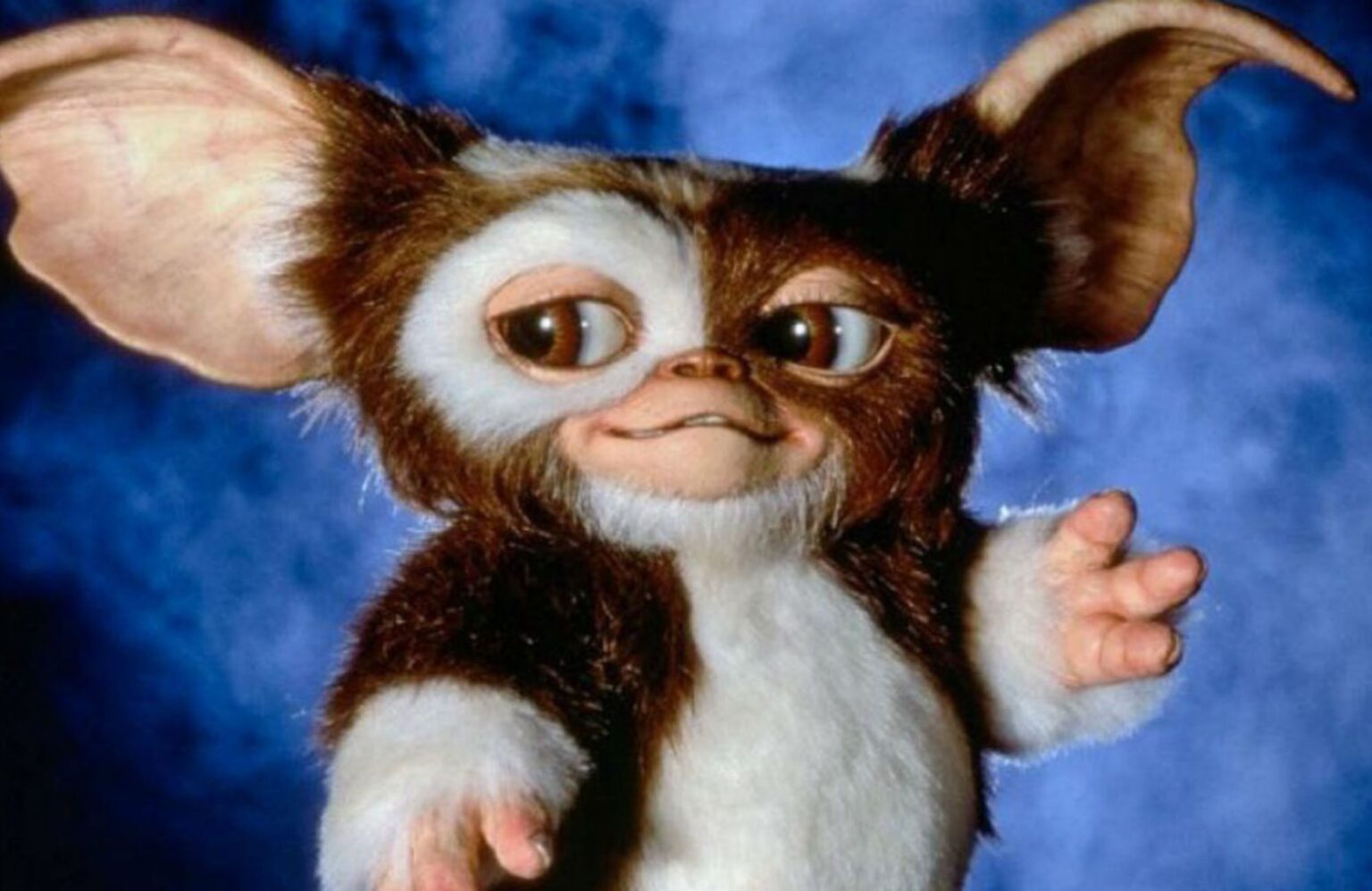 Gremlins: o que são e por que se tornaram ícones da cultura pop - Citou ...